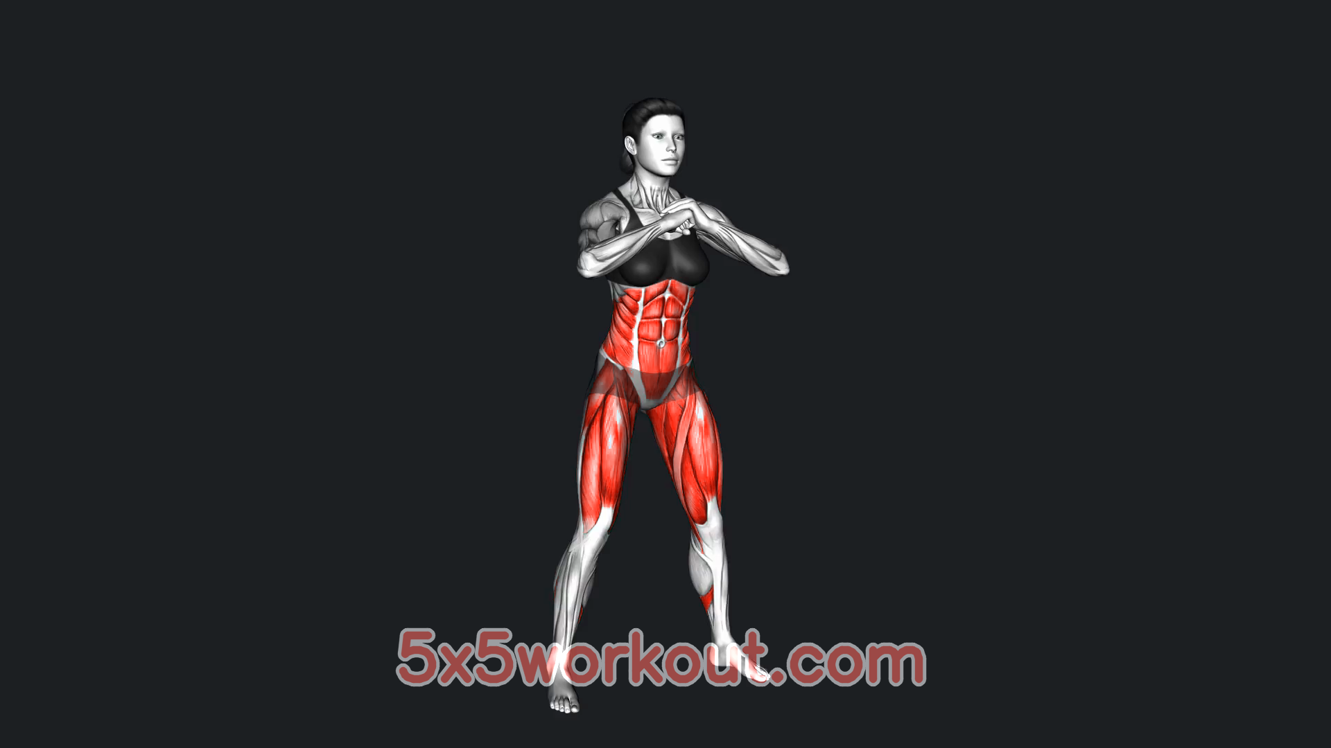 Strength and Bulk 5x5 Workout log