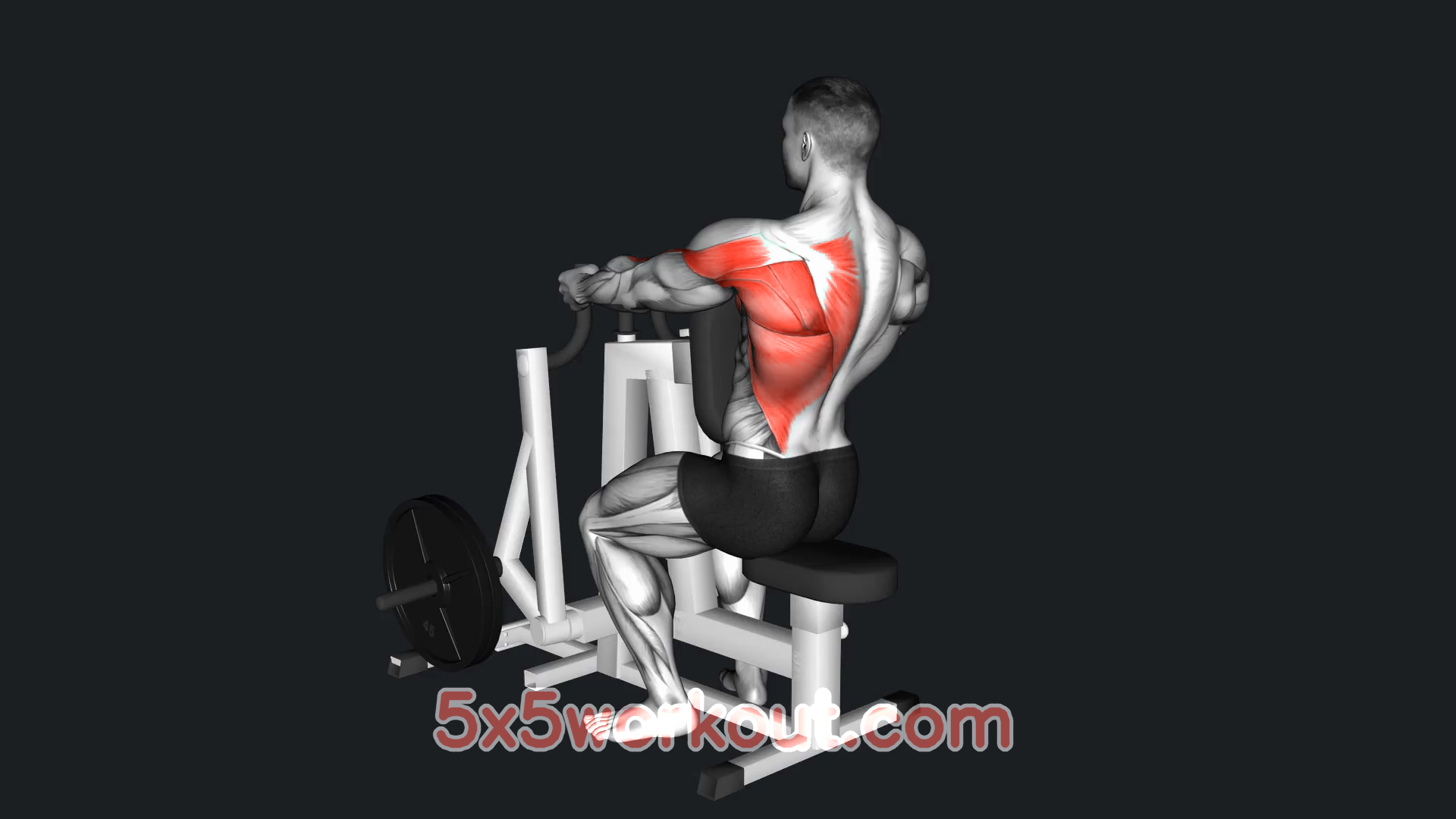 Strength and Bulk 5x5 Workout log